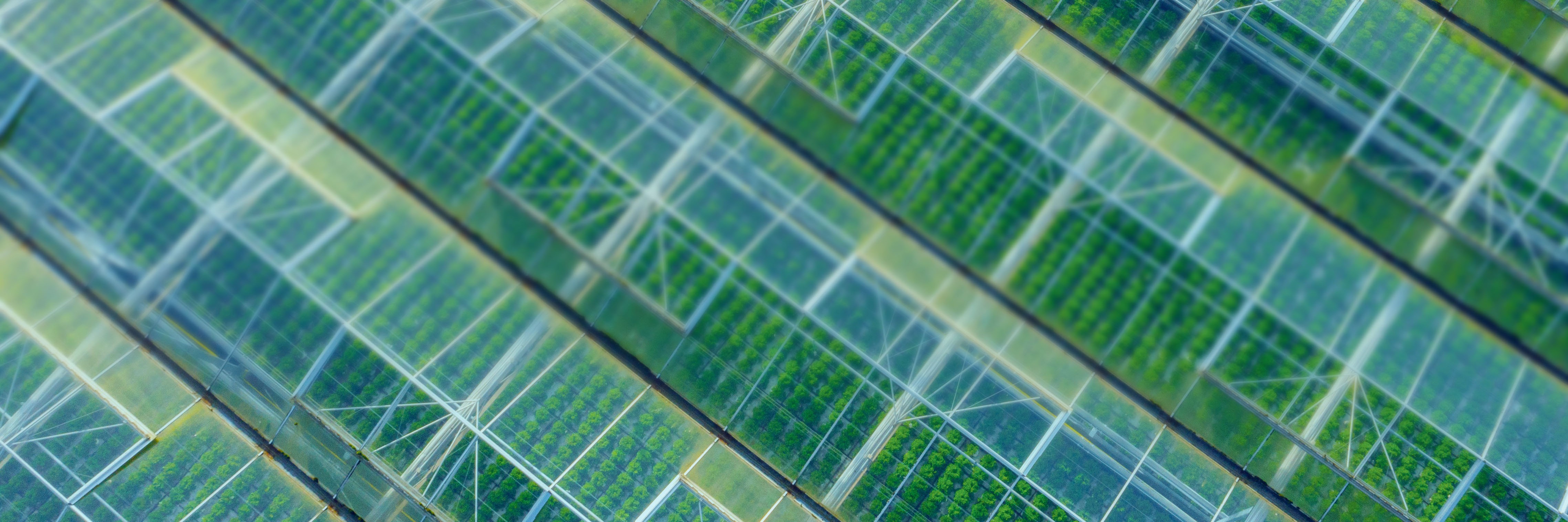 Sustainable Fixed Income | LGT Capital Partners