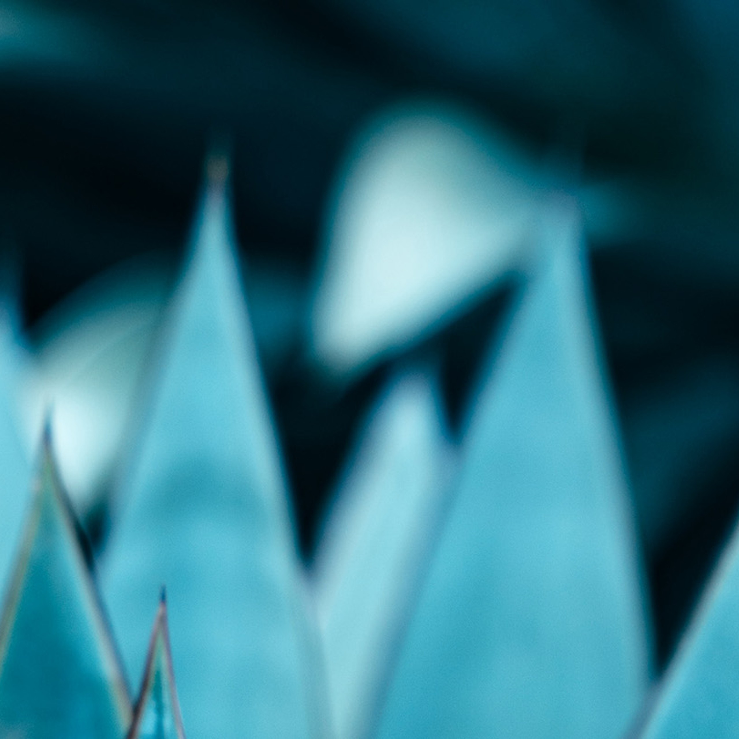 Responding to climate change | LGT Capital Partners