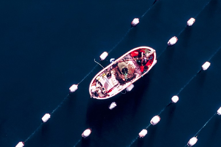 Crossing Boundaries Investment Outlook 2026 Lgt Capital Partners