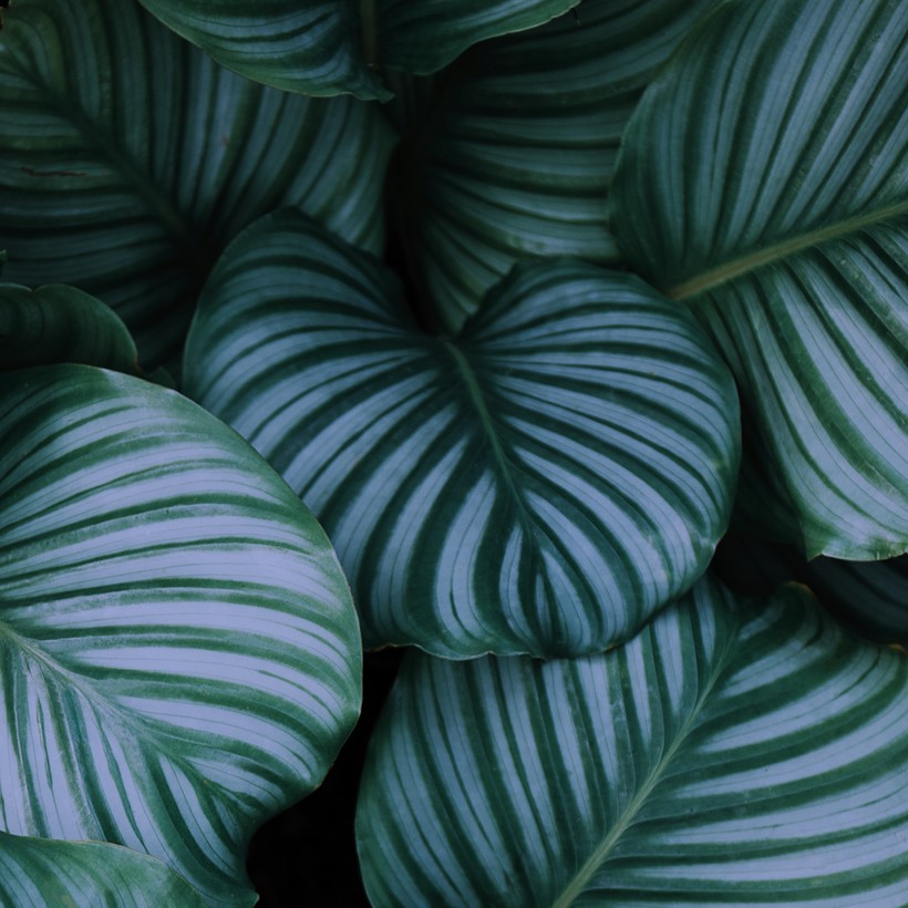 Publishing information | LGT Capital Partners